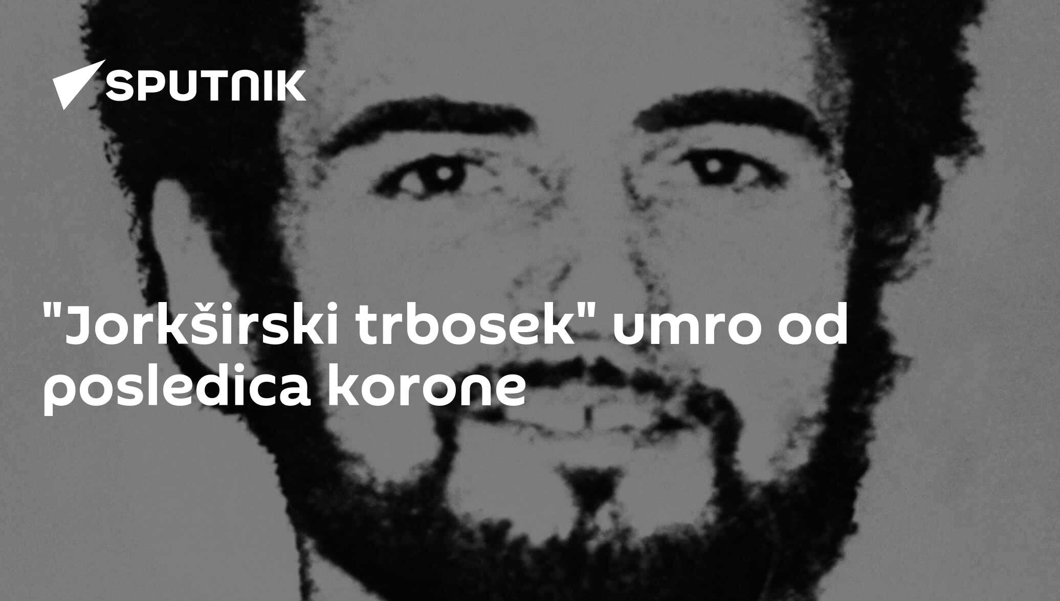 "Jorkširski trbosek" umro od posledica korone - 13.11.2020, Sputnik Srbija