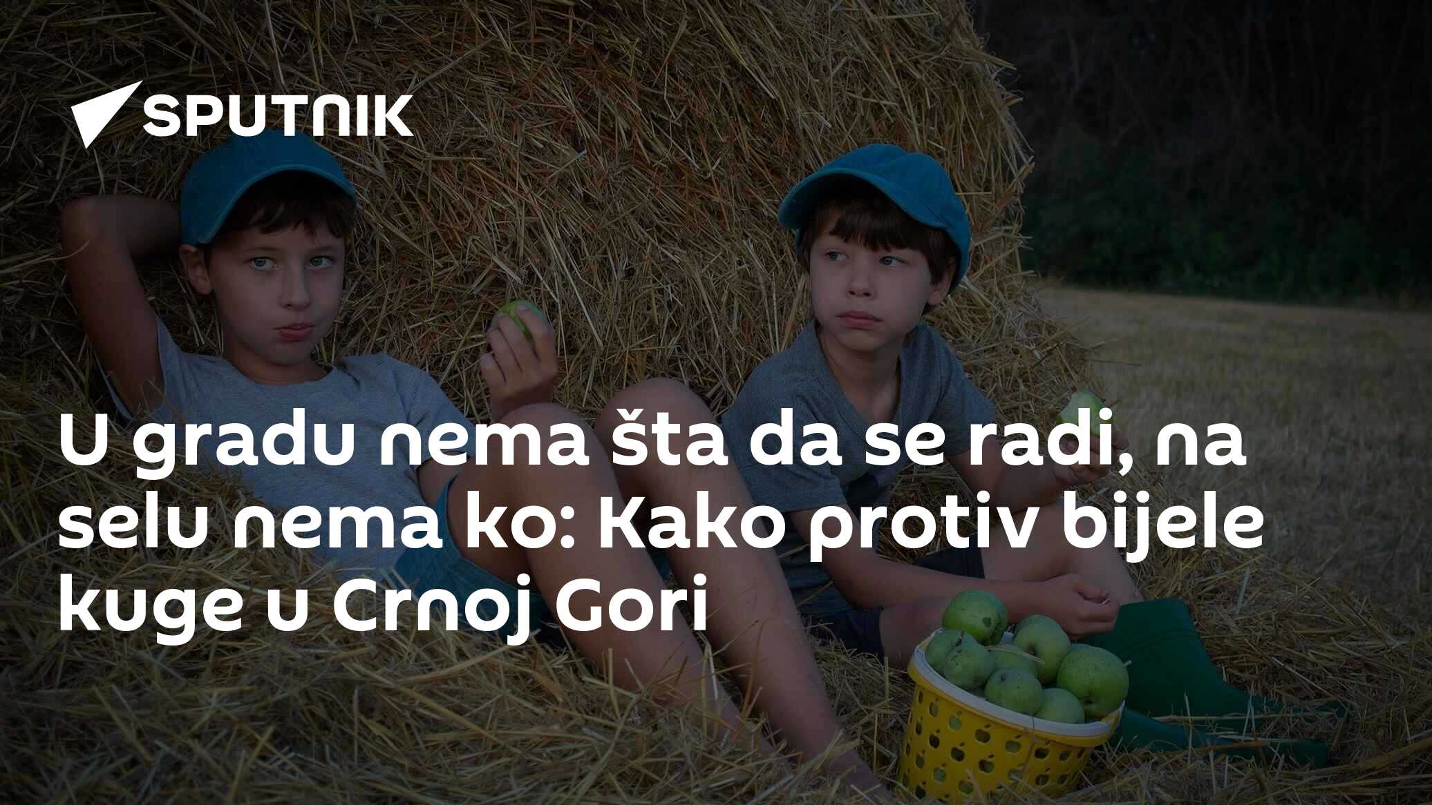 U gradu nema šta da se radi, na selu nema ko: Kako protiv bijele kuge u ...