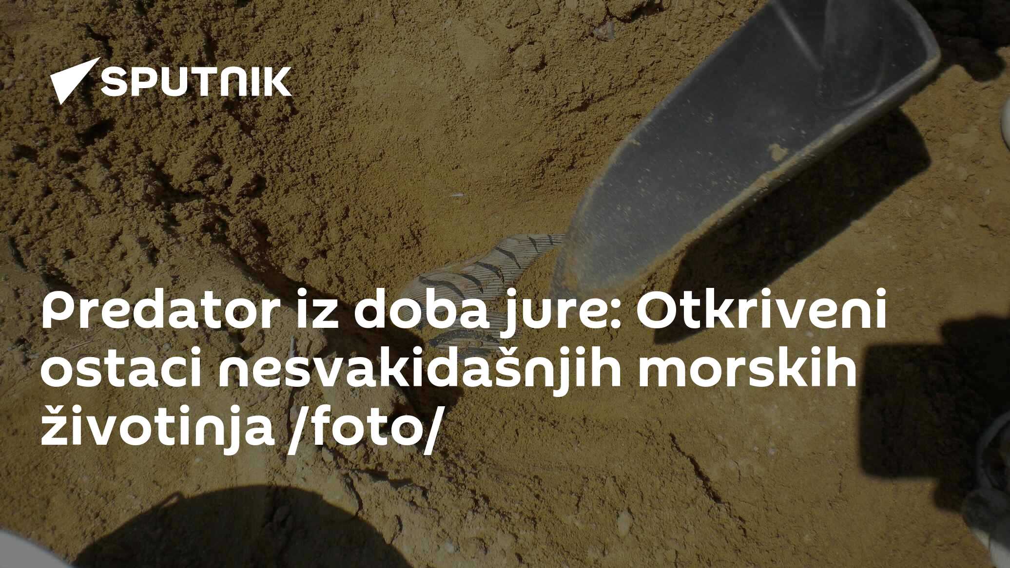 Predator iz doba jure: Otkriveni ostaci nesvakidašnjih morskih ...