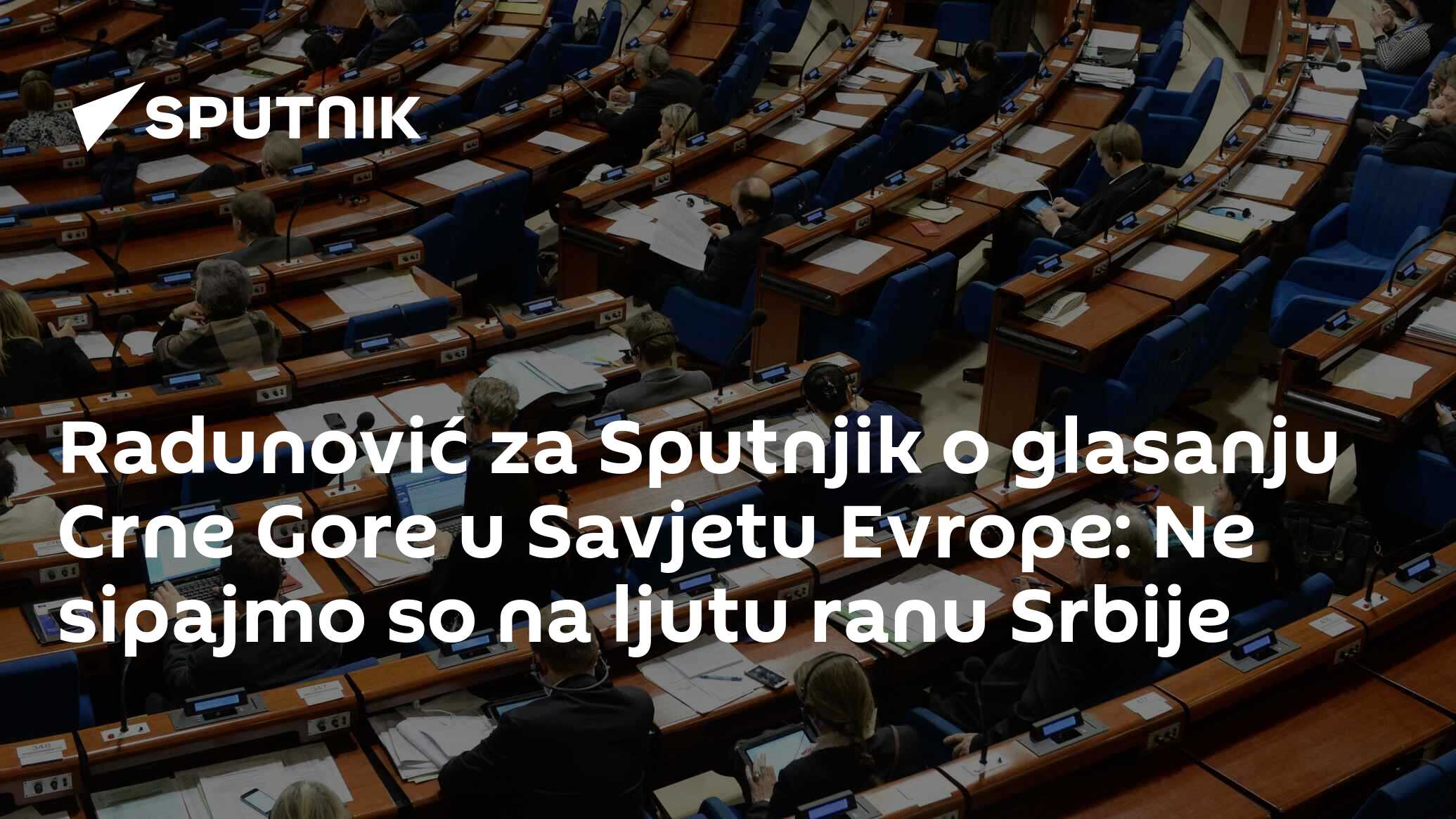 Radunović za Sputnjik o glasanju Crne Gore u Savjetu Evrope: Ne sipajmo ...