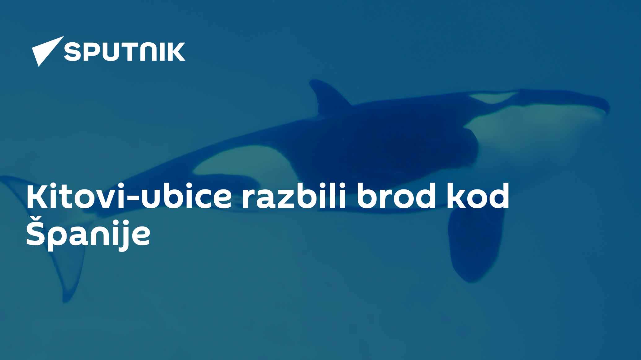 Kitovi-ubice razbili brod kod Španije - 25.05.2023, Sputnik Srbija