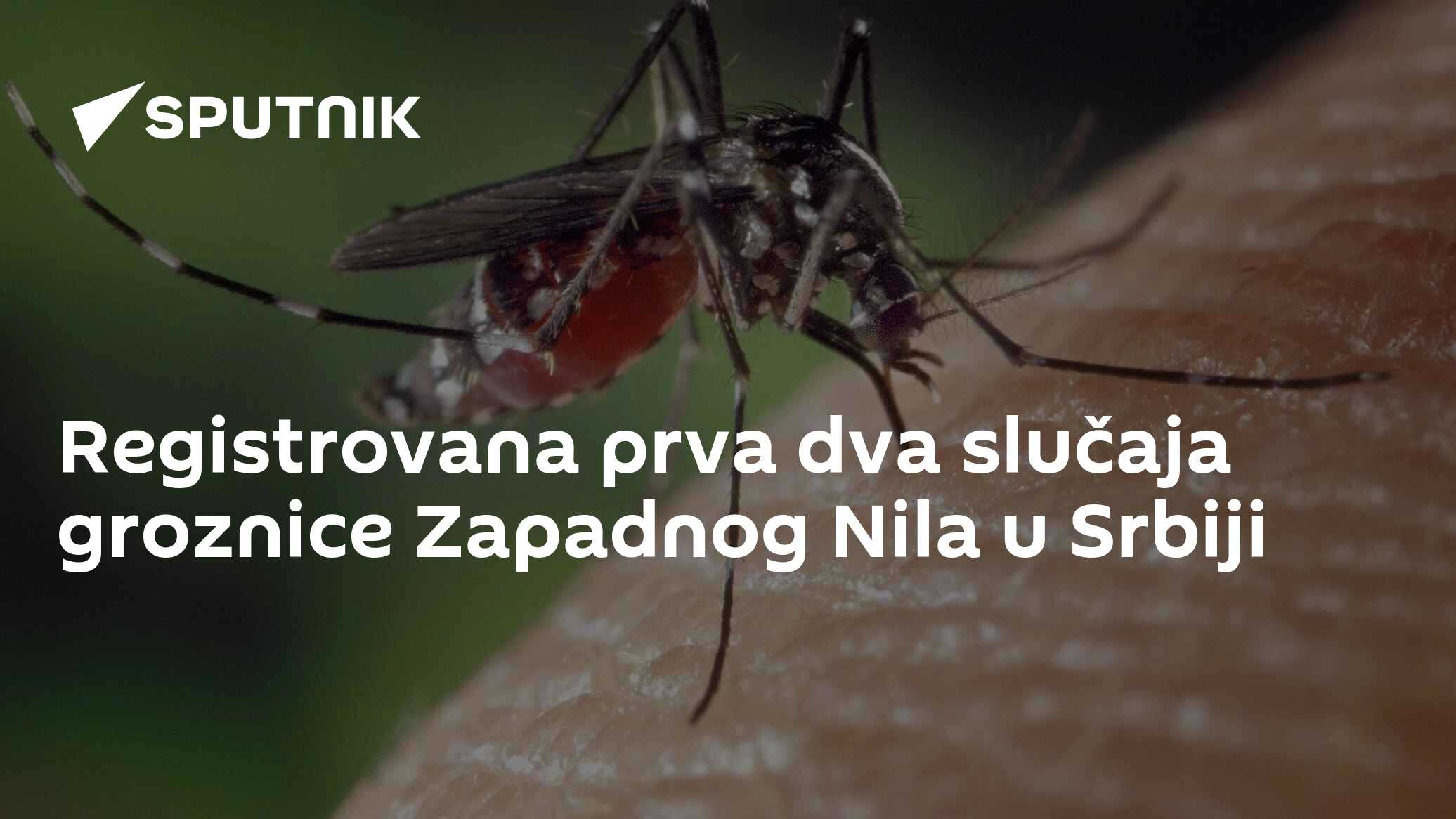 Registrovana prva dva slučaja groznice Zapadnog Nila u Srbiji - 26.07. ...