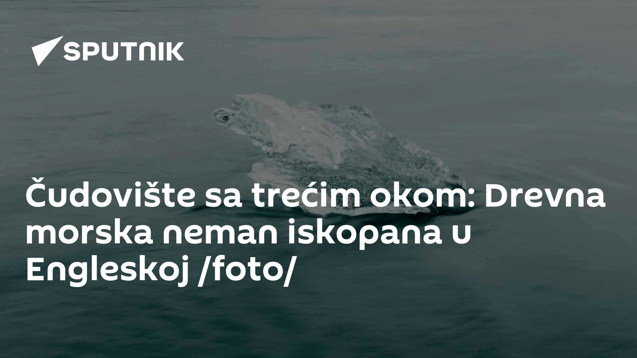 Čudovište sa trećim okom: Drevna morska neman iskopana u Engleskoj /foto/ - 11.12.2023, Sputnik ...