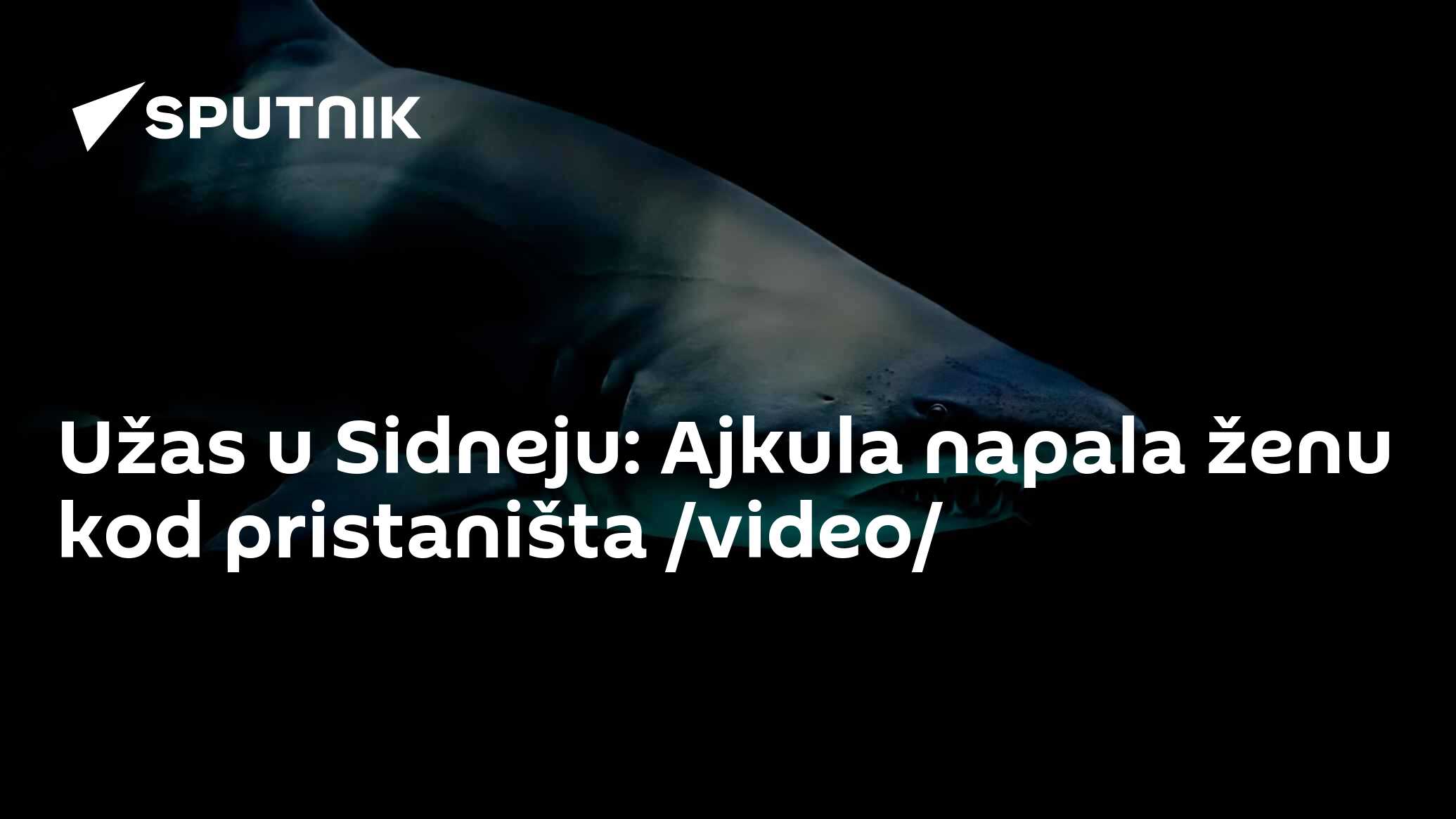 Užas u Sidneju: Ajkula napala ženu kod pristaništa /video/ - 30.01.2024, Sputnik Srbija