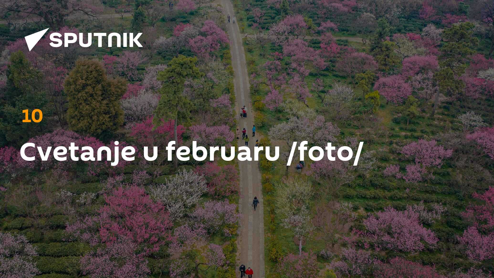 Cvetanje u februaru /foto/ - 21.02.2024, Sputnik Srbija