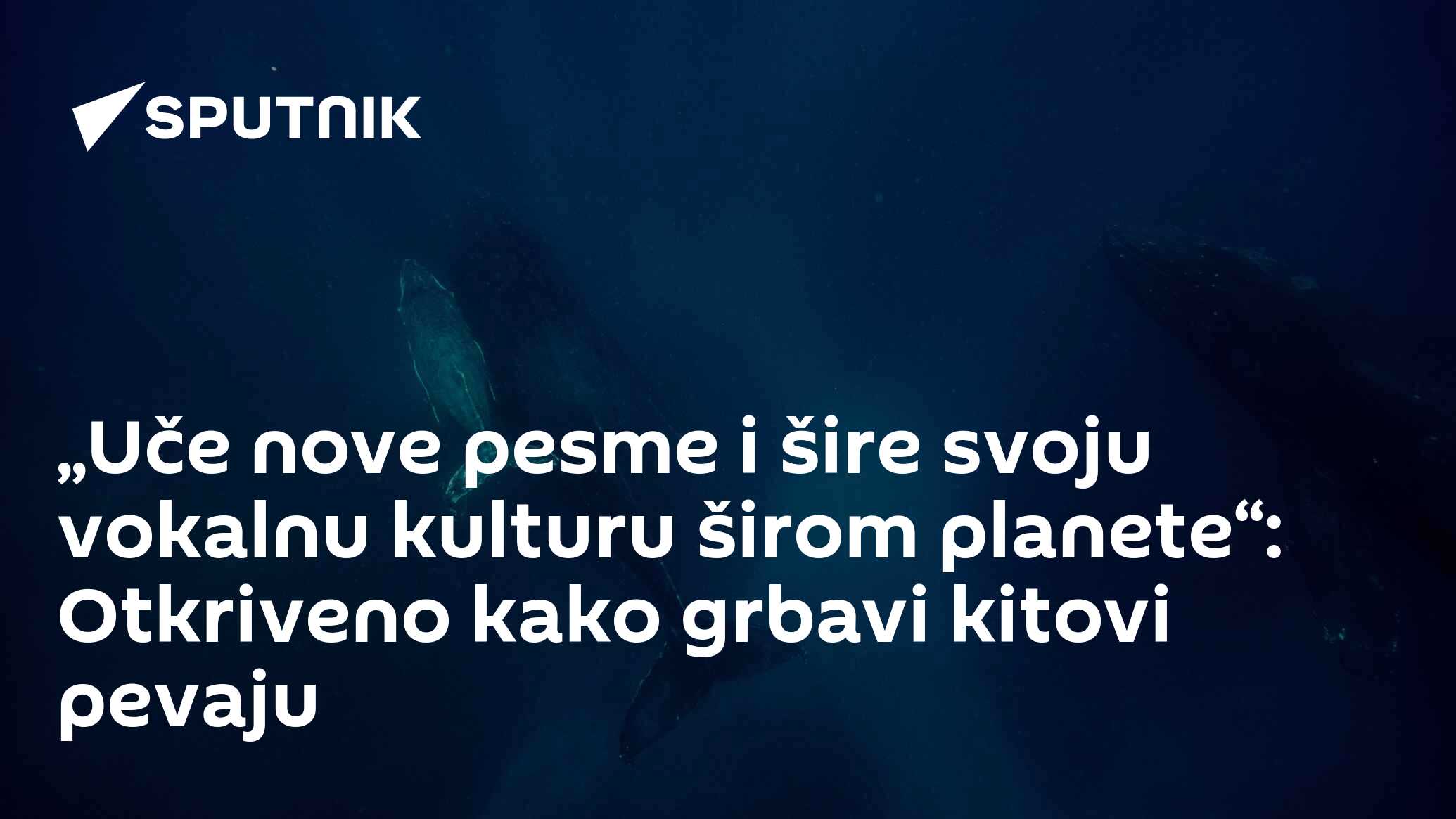 „Uče nove pesme i šire svoju vokalnu kulturu širom planete“: Otkriveno ...