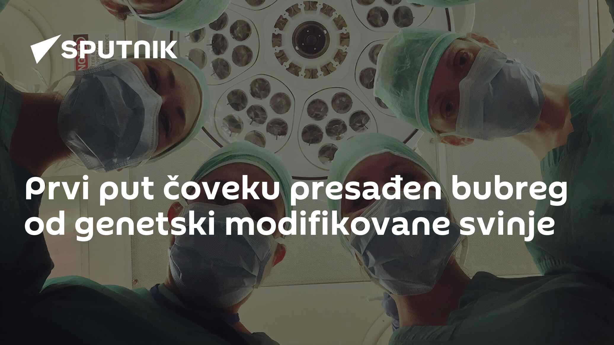 Prvi put čoveku presađen bubreg od genetski modifikovane svinje - 21.03 ...