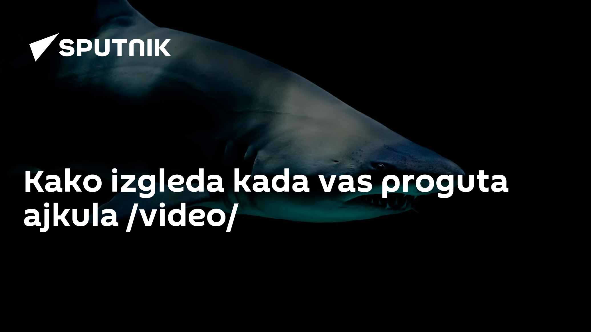 Kako izgleda kada vas proguta ajkula /video/ - 03.04.2024, Sputnik Srbija