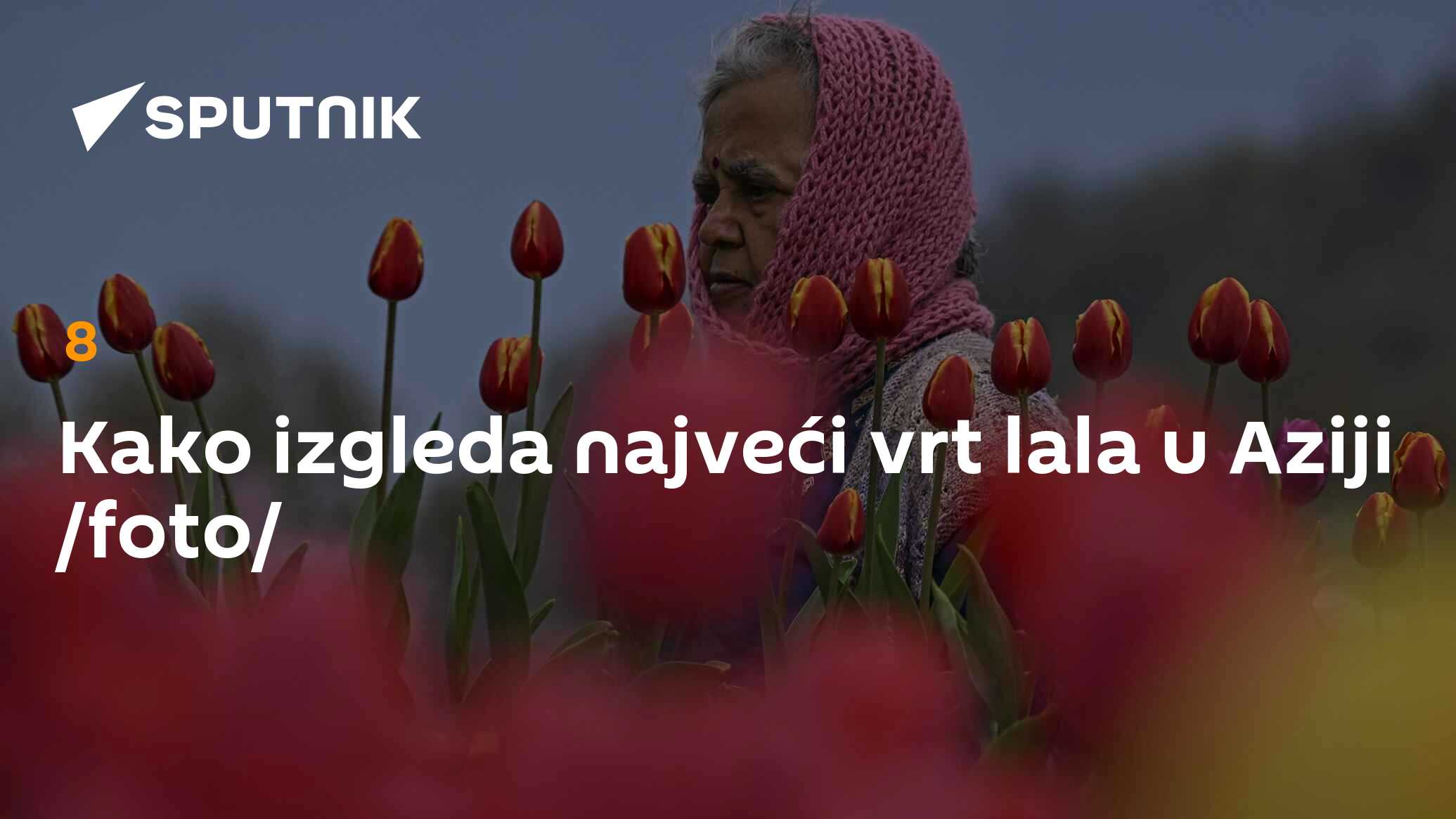 Kako izgleda najveći vrt lala u Aziji /foto/ - 04.04.2024, Sputnik Srbija