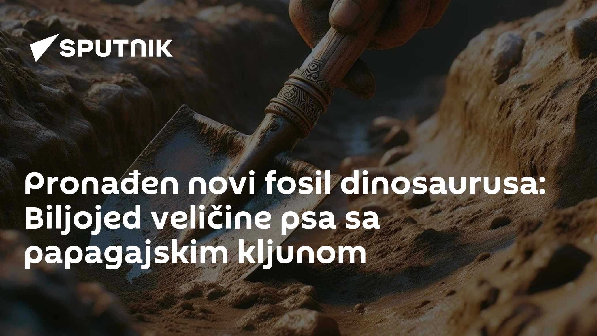 Pronađen novi fosil dinosaurusa: Biljojed veličine psa sa papagajskim ...