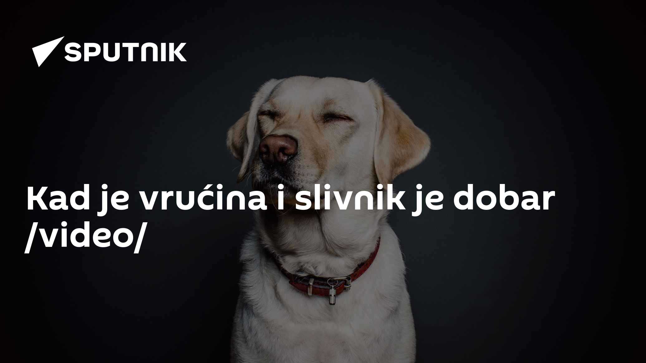 Kad je vrućina i slivnik je dobar /video/ - 16.06.2024, Sputnik Srbija