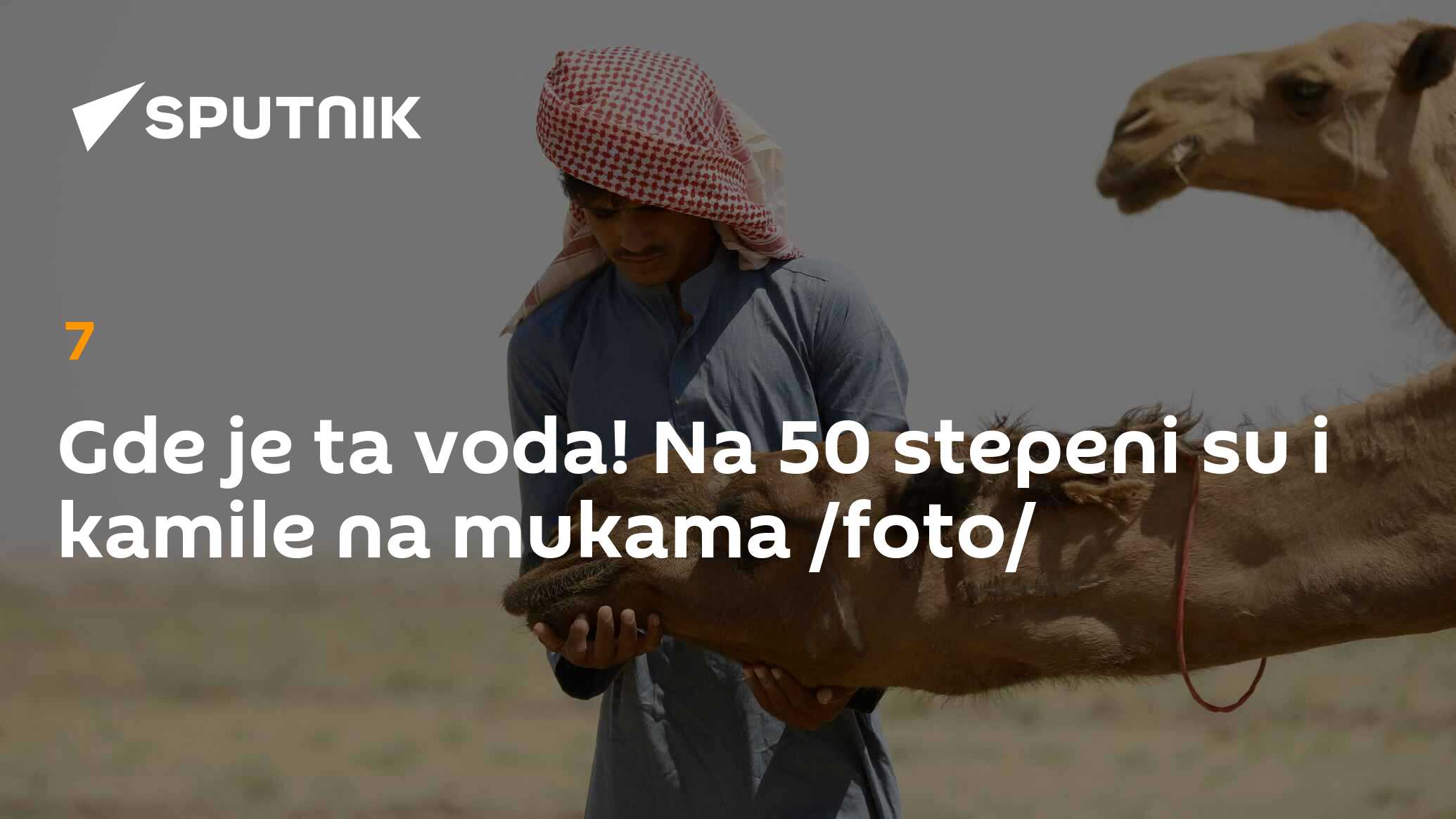 Gde je ta voda! Na 50 stepeni su i kamile na mukama /foto/ - 10.07.2024, Sputnik Srbija