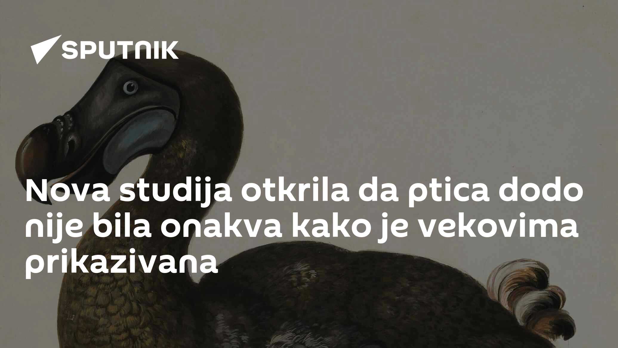 Nova studija otkrila da ptica dodo nije bila onakva kako je vekovima prikazivana - 16.08.2024 ...