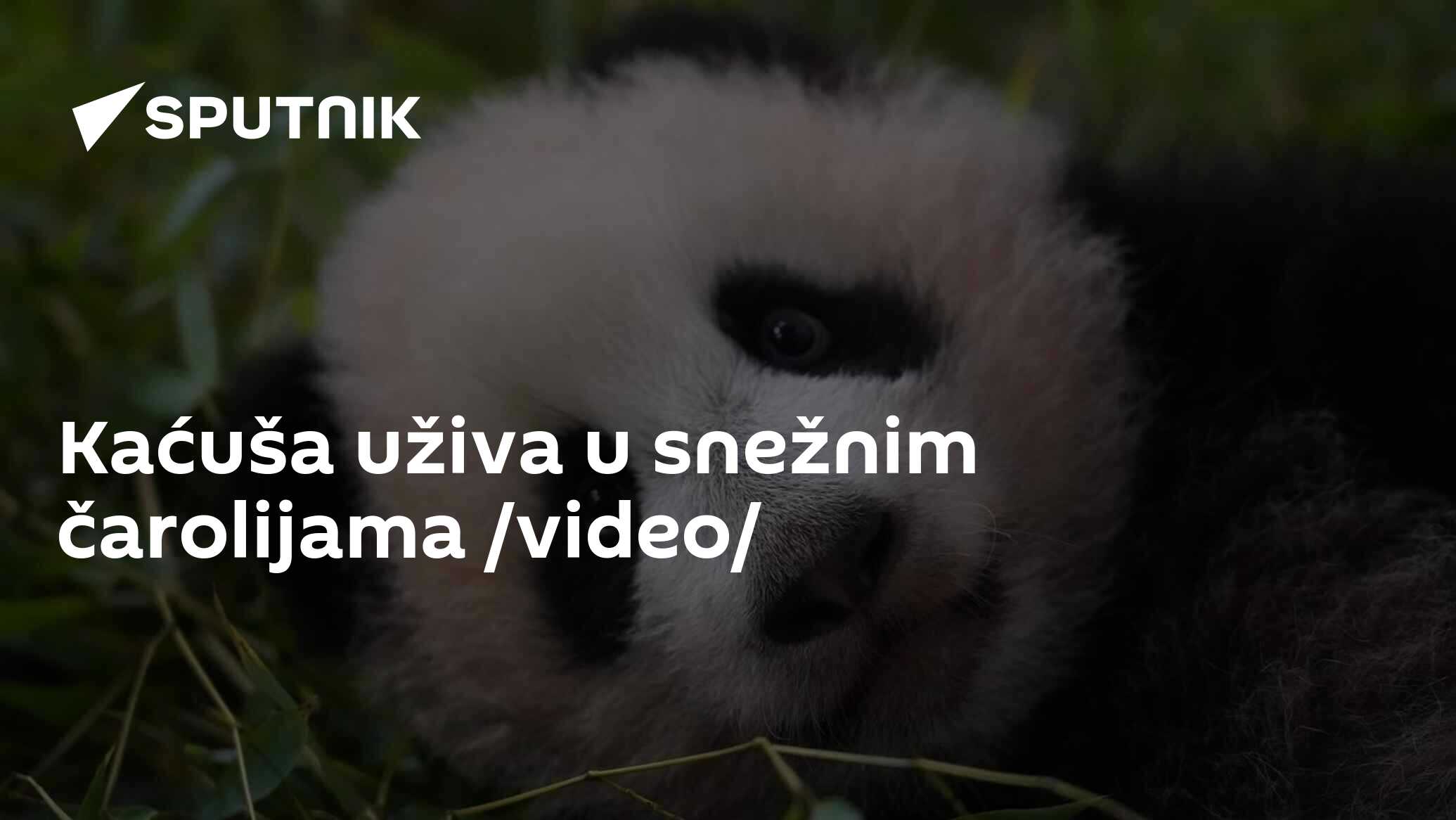 Kaćuša uživa u snežnim čarolijama /video/ - 19.12.2024, Sputnik Srbija