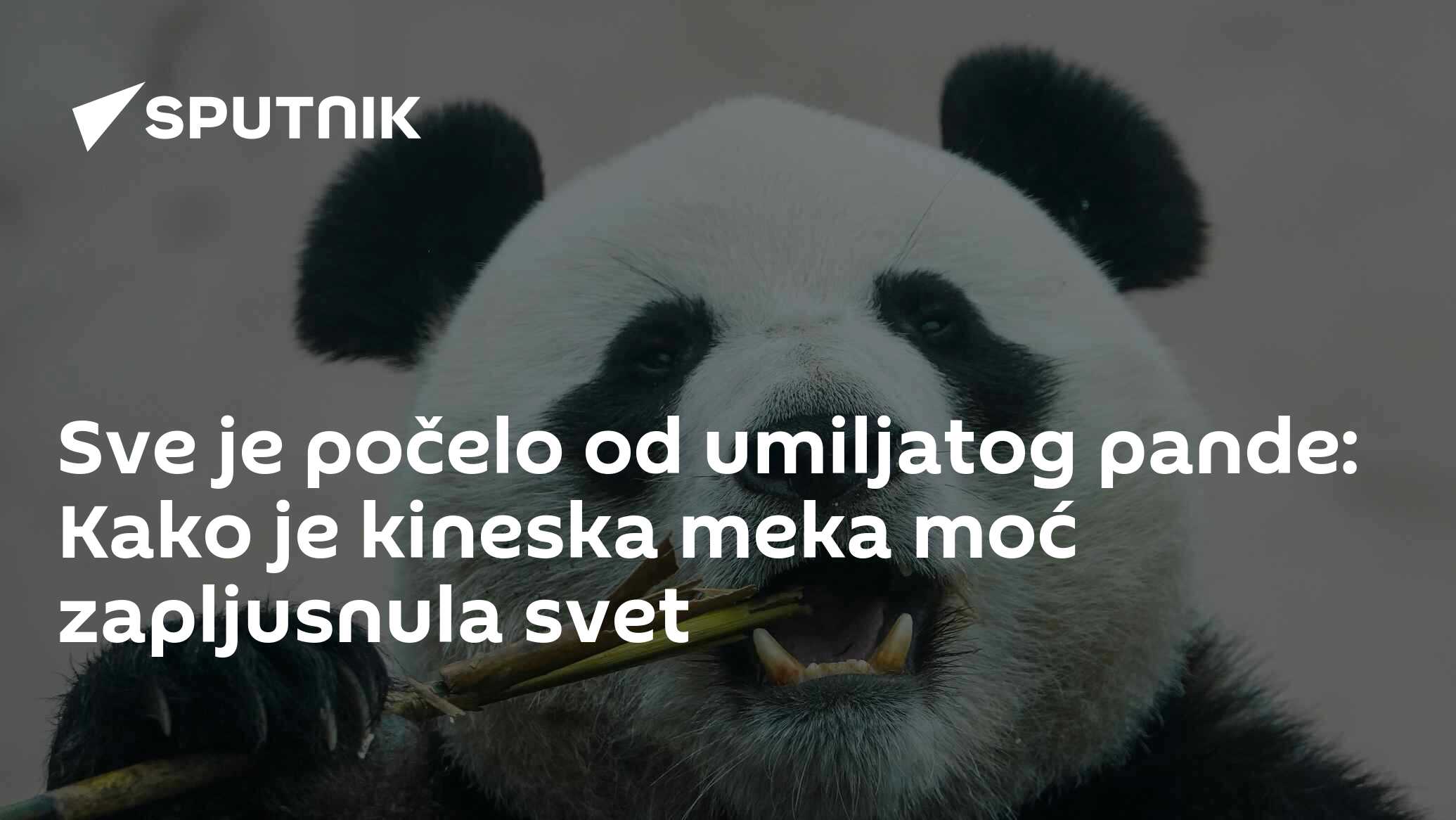 Sve je počelo od umiljatog pande: Kako je kineska meka moć zapljusnula ...