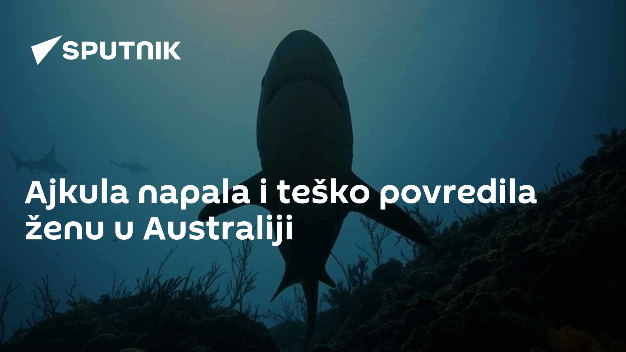 Ajkula napala i teško povredila ženu u Australiji - 07.03.2025, Sputnik Srbija