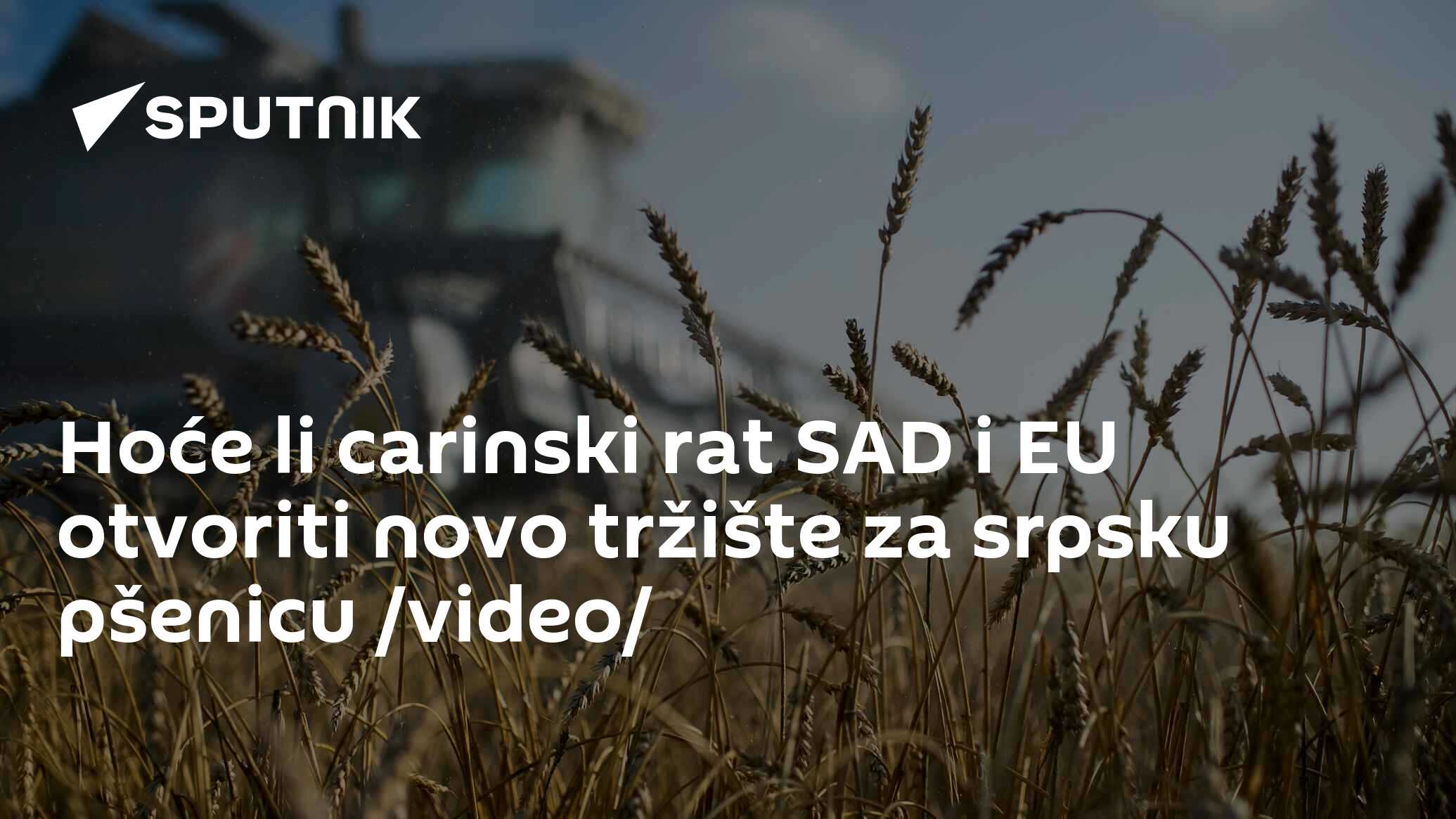 Hoće li carinski rat SAD i EU otvoriti novo tržište za srpsku pšenicu ...