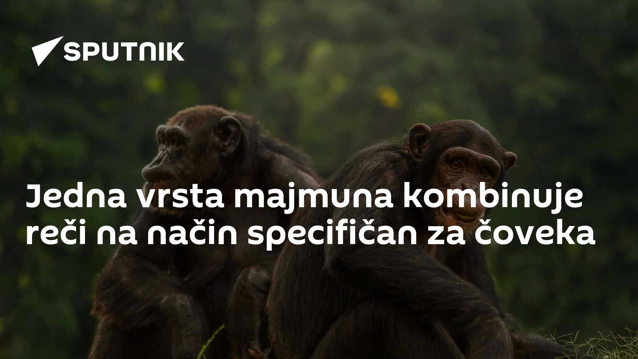 Jedna vrsta majmuna kombinuje reči na način specifičan za čoveka - 06. ...