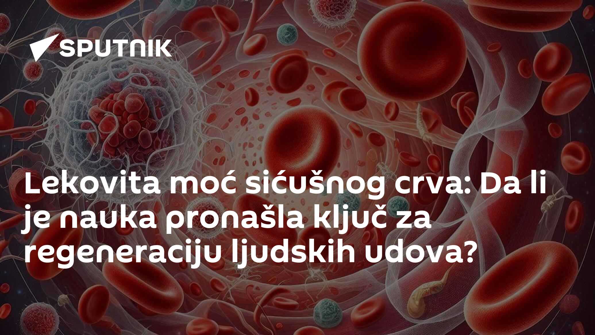 Lekovita moć sićušnog crva: Da li je nauka pronašla ključ za ...