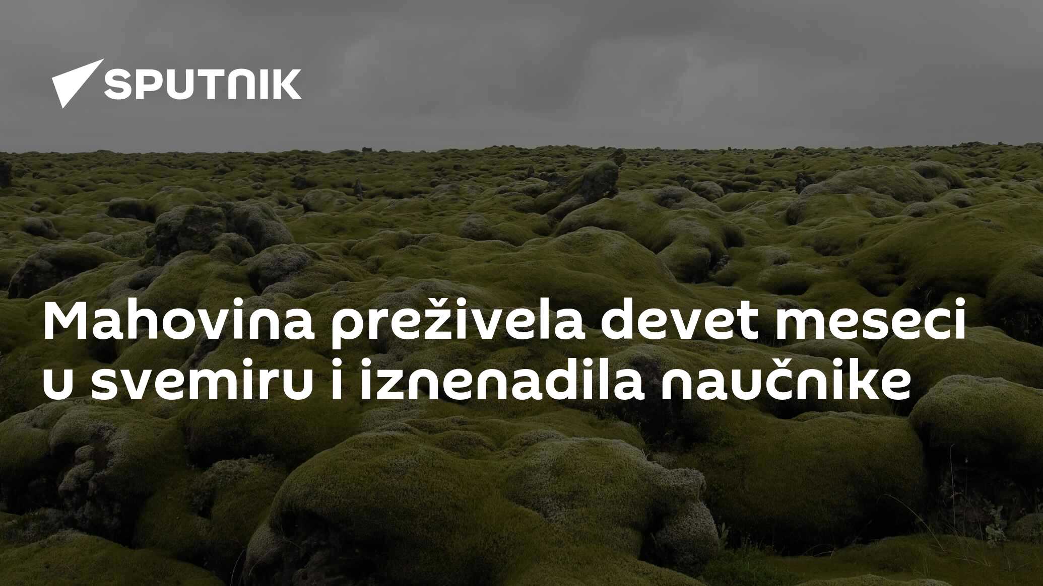 Mahovina preživela devet meseci u svemiru i iznenadila naučnike - 24.11 ...