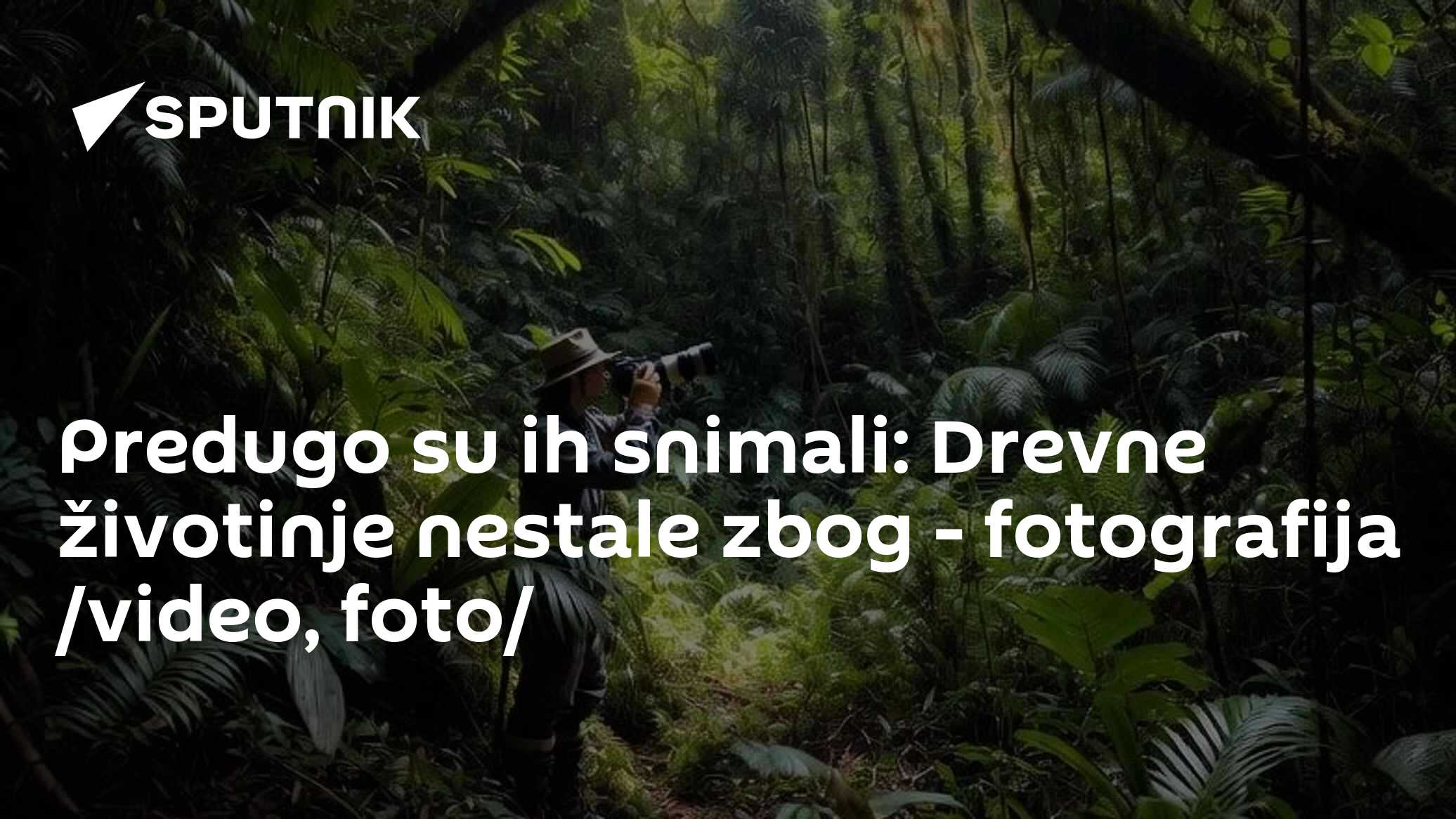 Predugo su ih snimali: Drevne životinje nestale zbog - fotografija ...