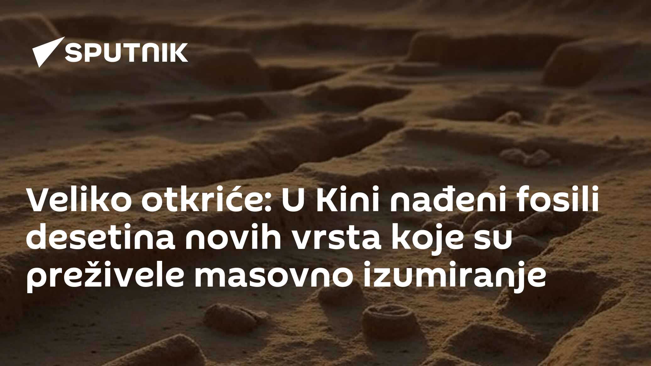 Veliko otkriće: U Kini nađeni fosili desetina novih vrsta koje su ...