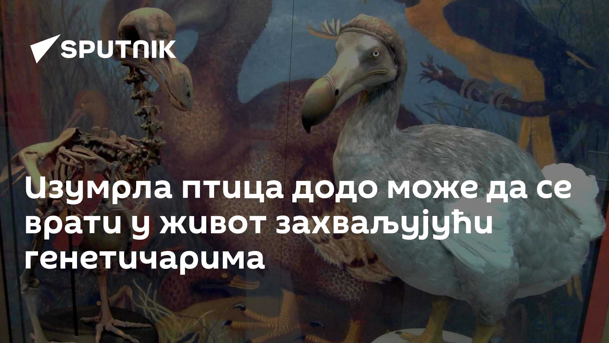 Изумрла птица додо може да се врати у живот захваљујући генетичарима ...