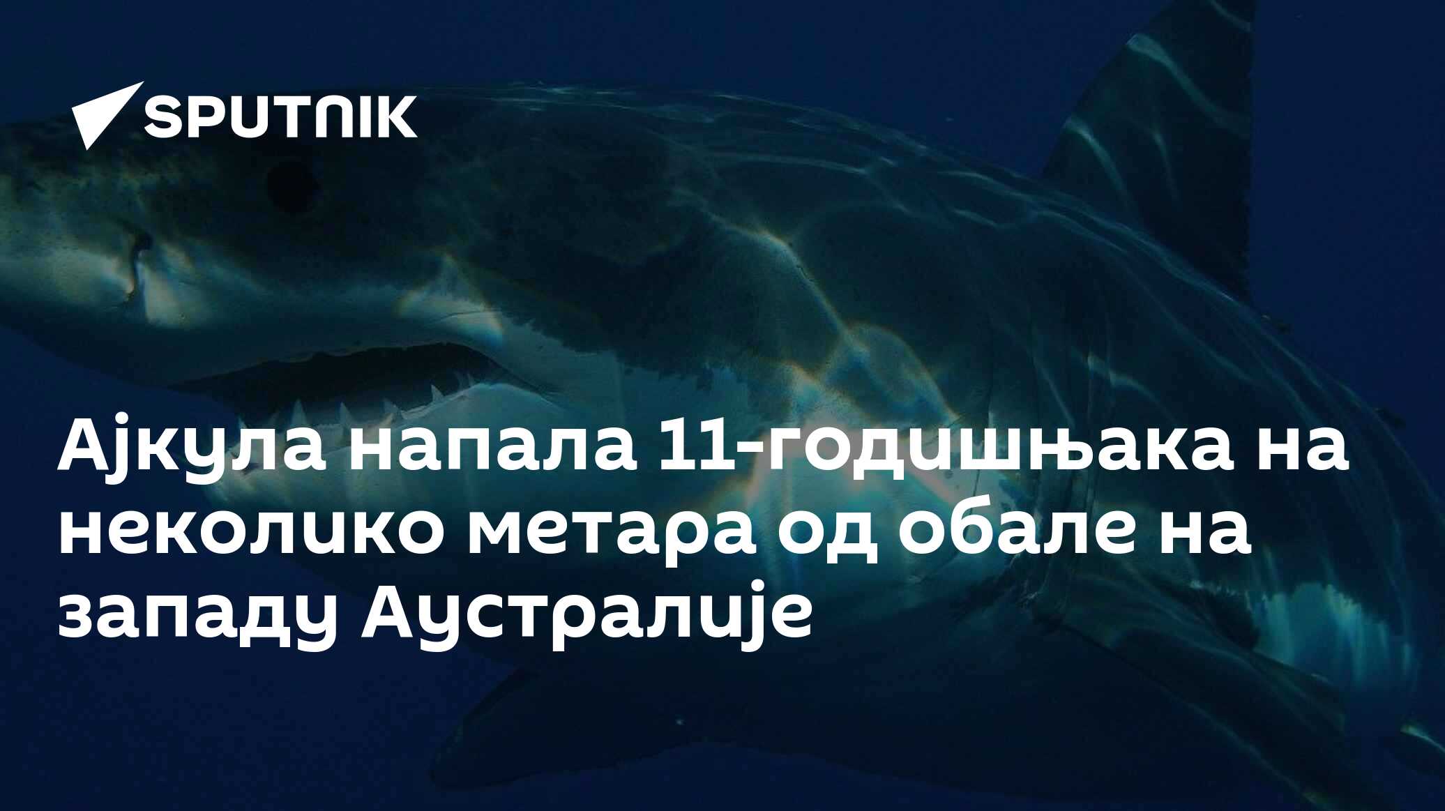 Ајкула напала 11-годишњака на неколико метара од обале на западу Аустралије - 29.04.2023 ...